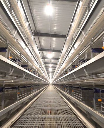 h-type layer chicken cage for sale, best price h type layer battery ...